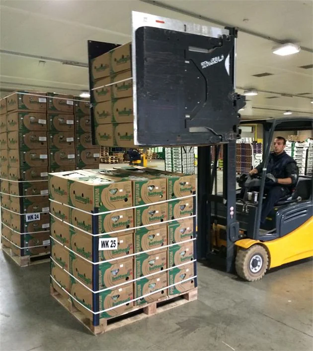 Carton Clamp - WongForklift
